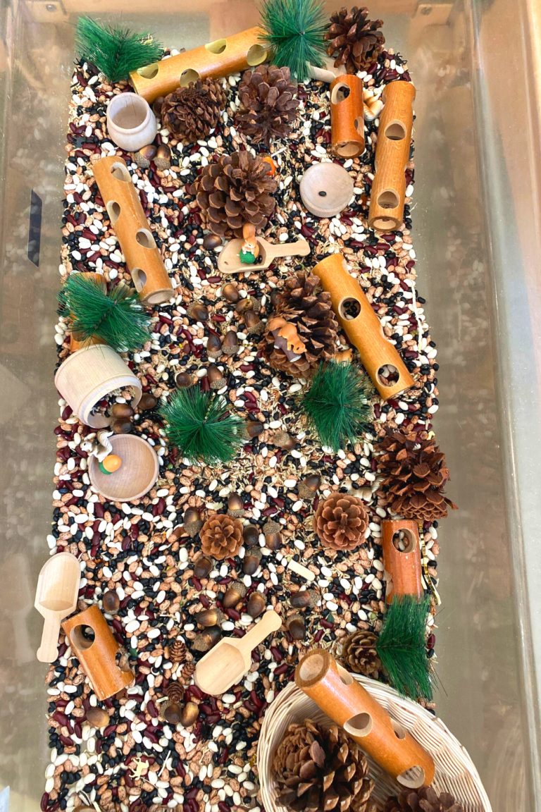 What I did in my preschool class this week for Fall themed activities ...