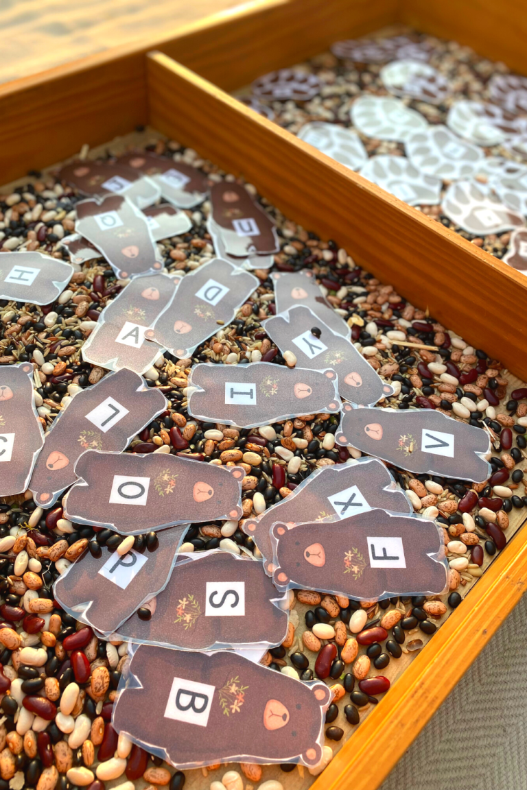 Letter of the week theme for preschool, B is for… – learnplayrepeat