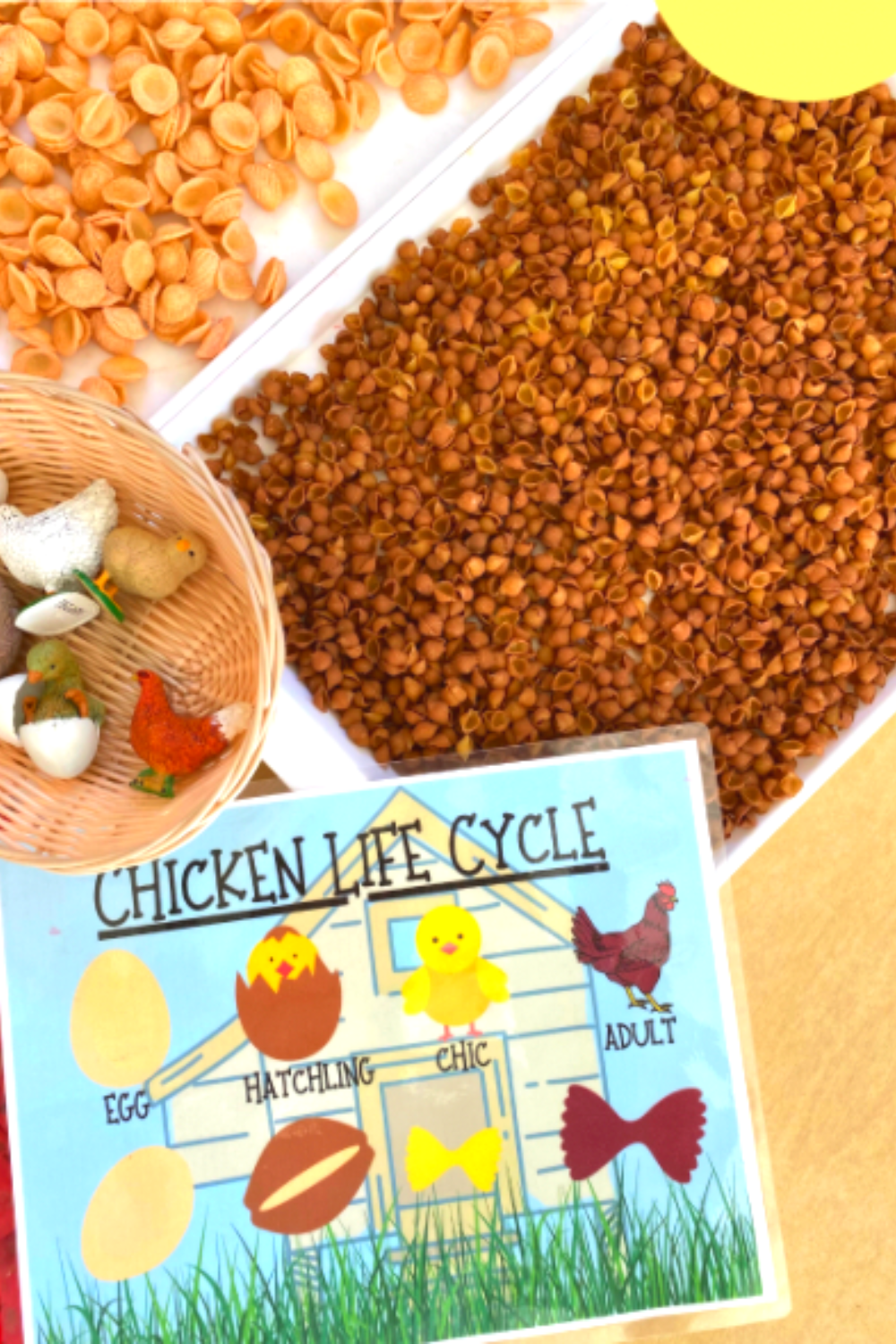 Farm theme curriculum for play based preschool – learnplayrepeat