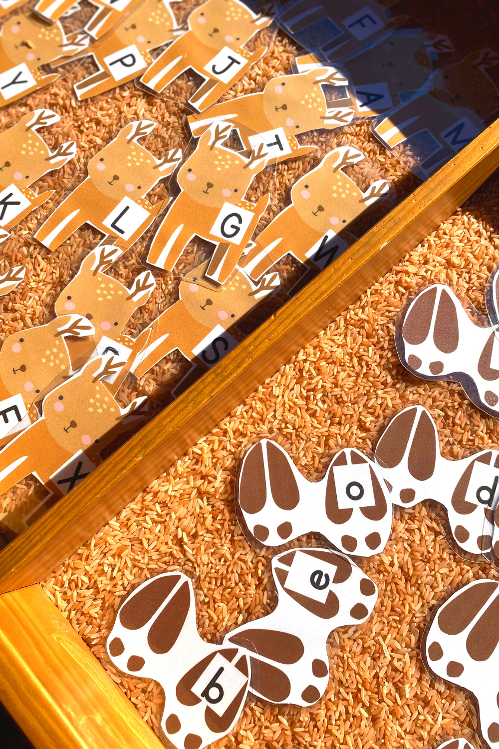 Super fun play based preschool activities that begin with the letter D ...
