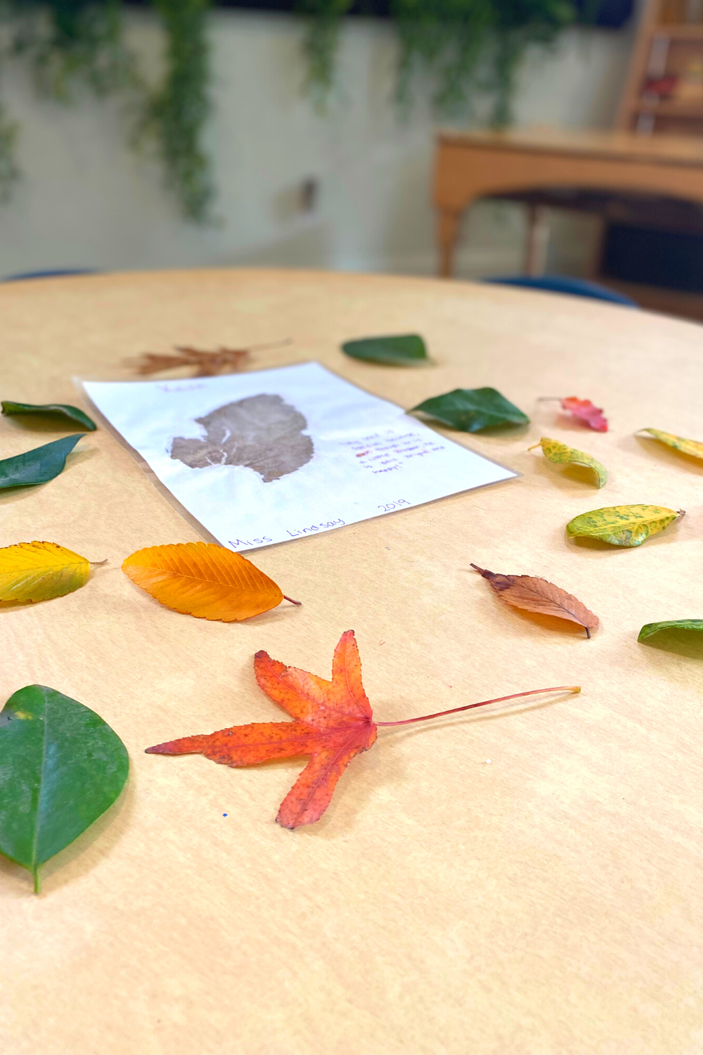 Letter of the week ideas for a play based preschool-Curriculum ...