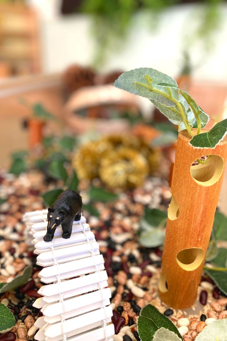 The cutest activities for Preschool camping theme – learnplayrepeat