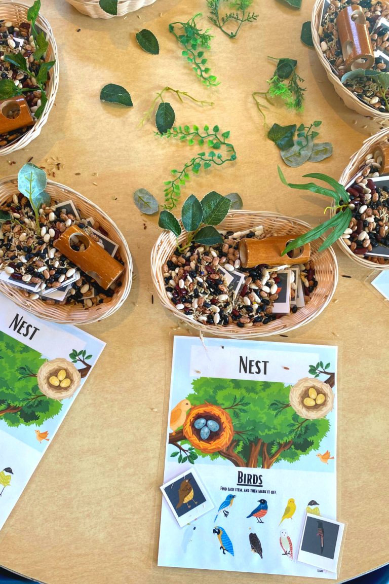 Things that start with letter N for preschool curriculum activities ...