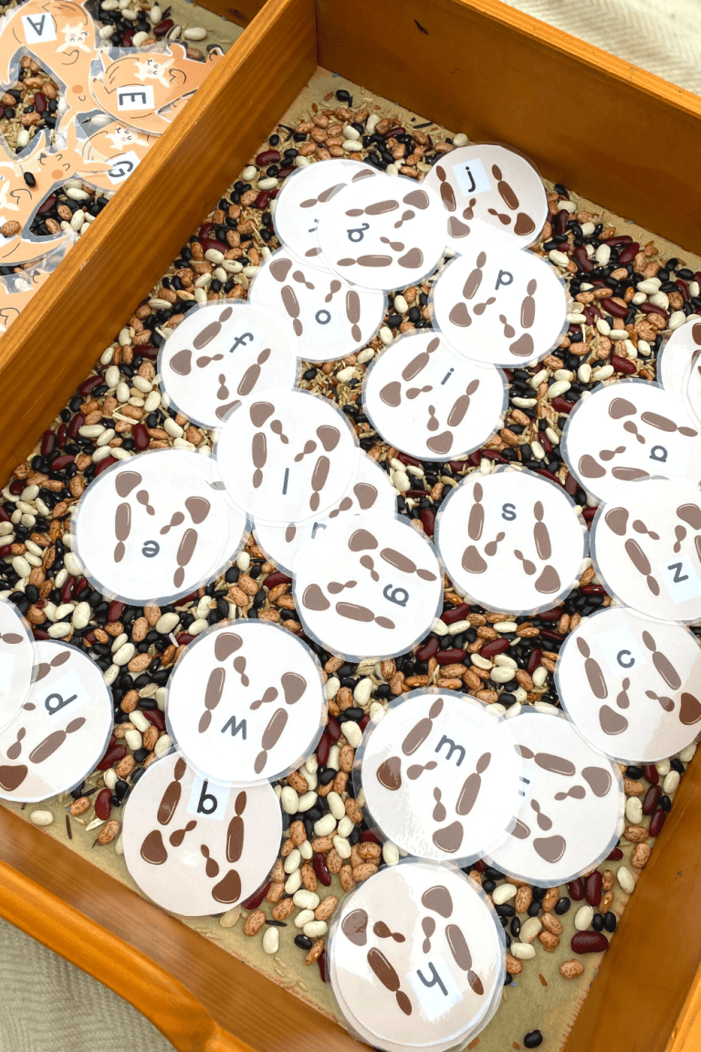 Preschool curriculum for letter of the week theme | Things that start ...