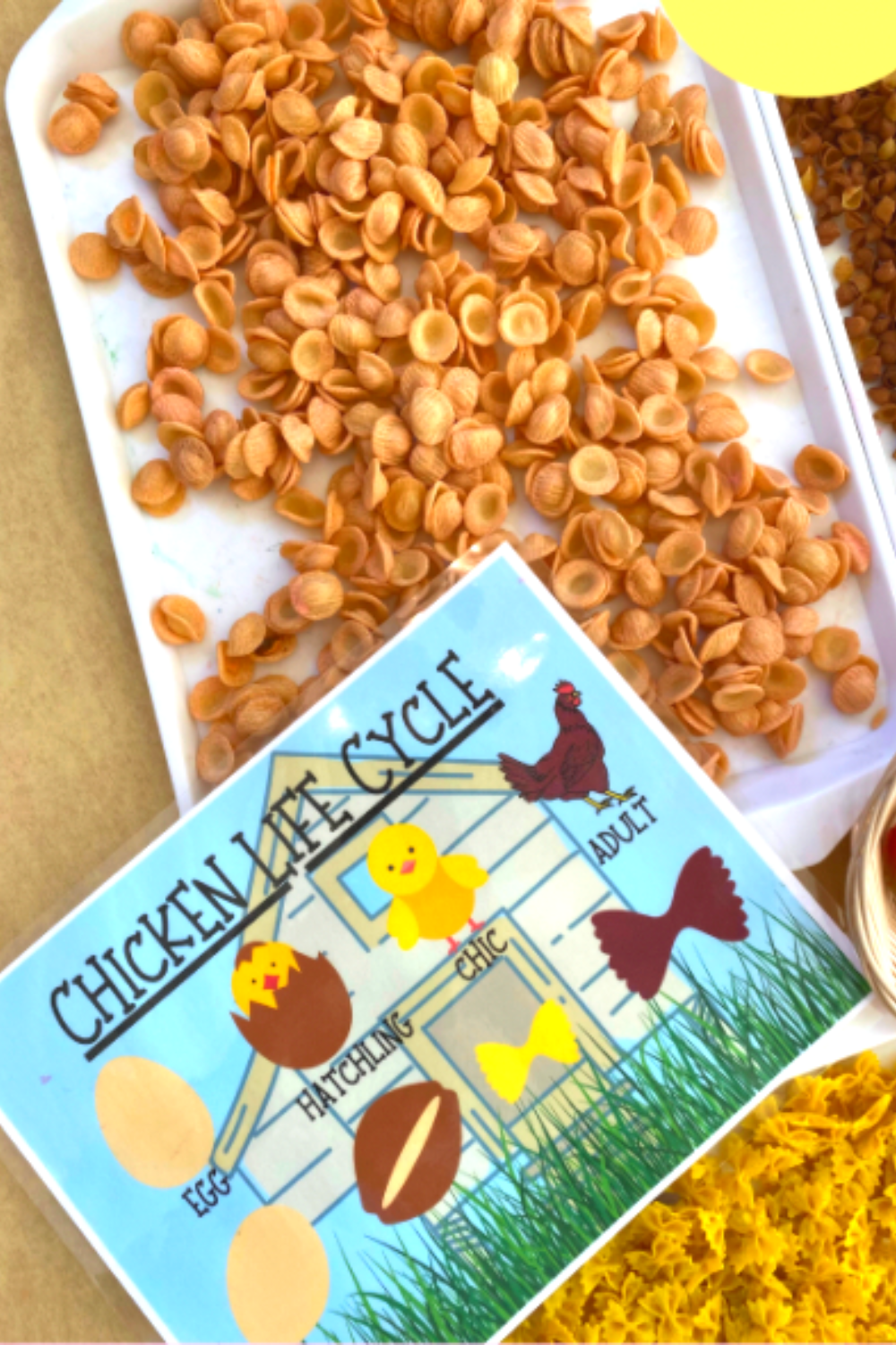 Farm theme curriculum for play based preschool – learnplayrepeat