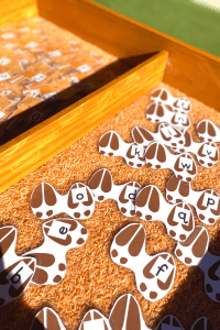 Super fun play based preschool activities that begin with the letter D ...