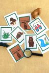 The cutest activities for Preschool camping theme – learnplayrepeat