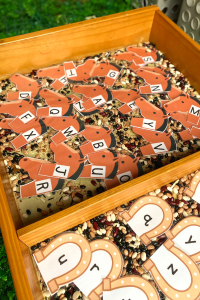Ideas for preschool activities that start with the letter H ...